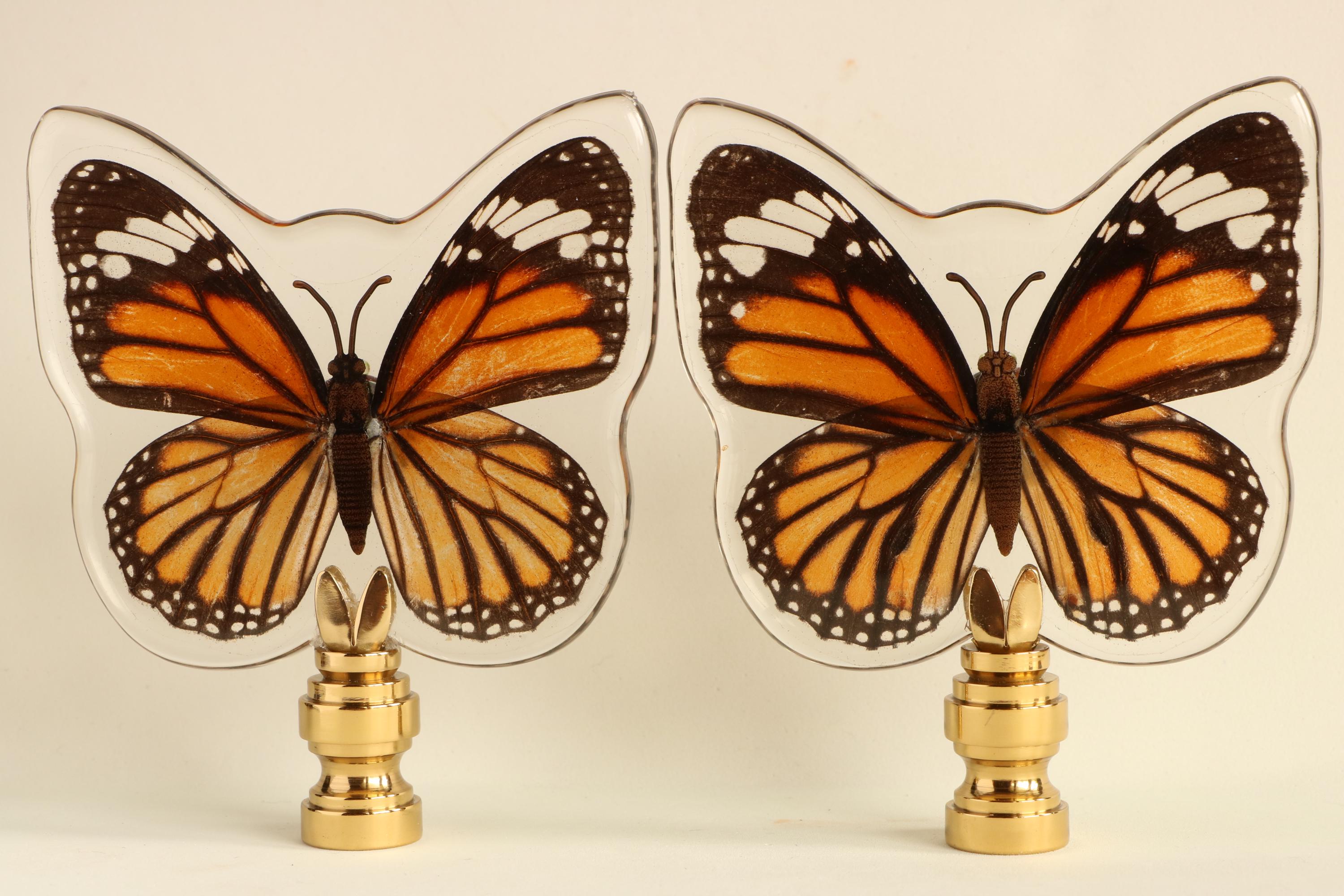 Asian Tiger Butterfly Specimen Lamp Finials - Natural Butterflies in ...