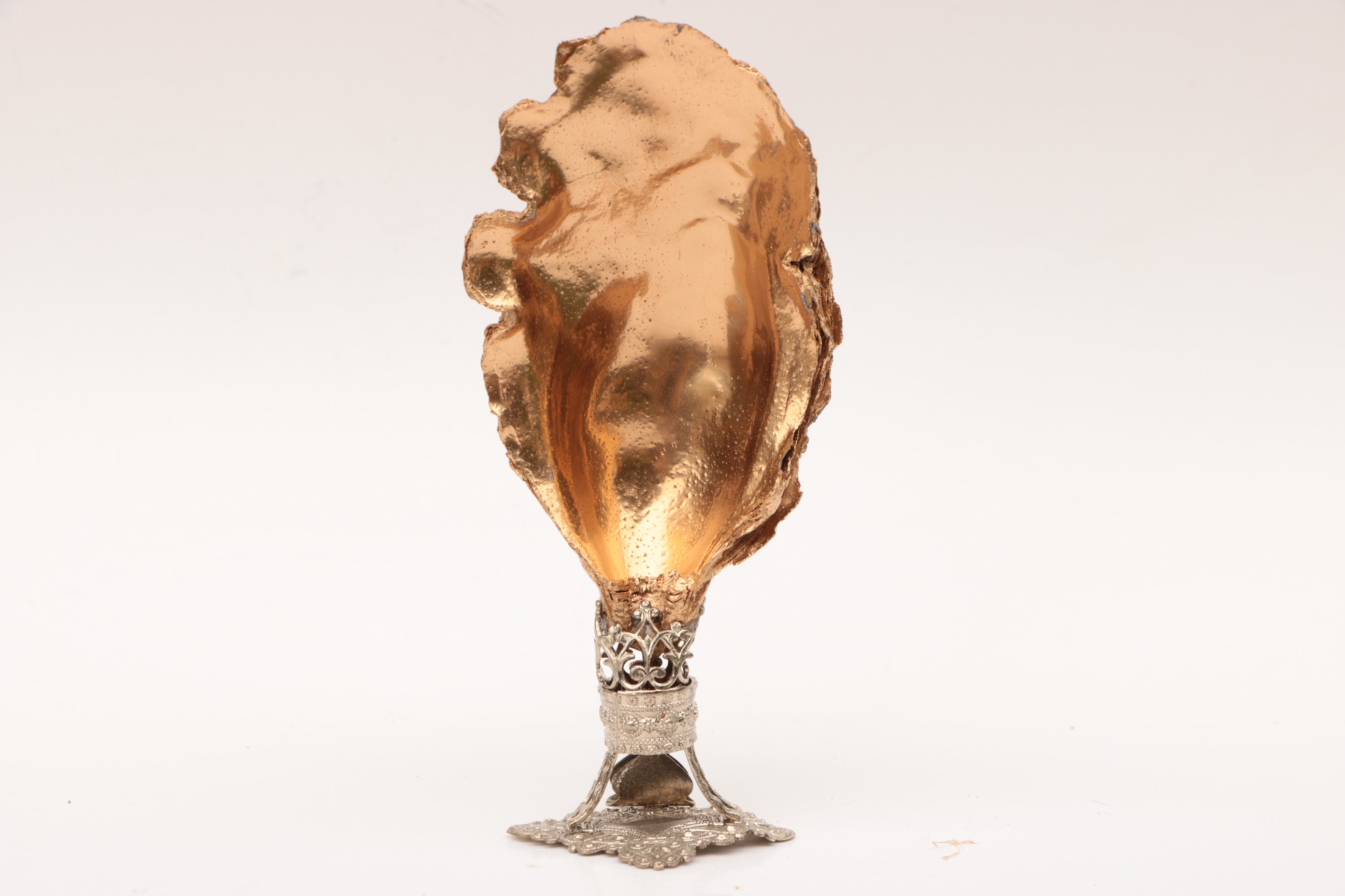 Golden Oyster Shell Place Card Holders - Set of 6 Natural Cape Cod ...