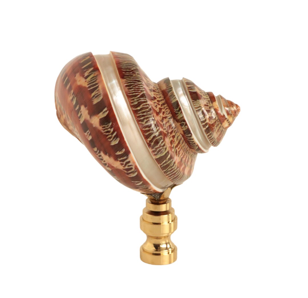 Banded Shell Lamp Finial With Etched Pearlescent Detail - Natural Sea ...