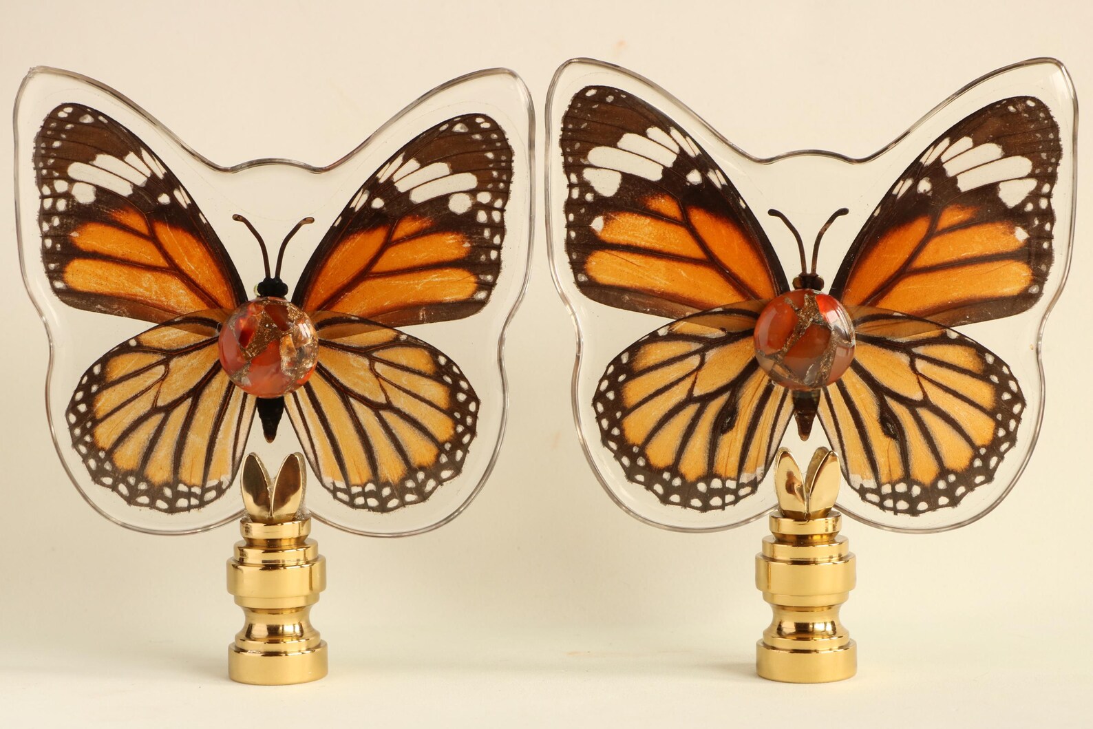 Asian Tiger Butterfly Specimen Lamp Finials - Natural Butterflies in ...