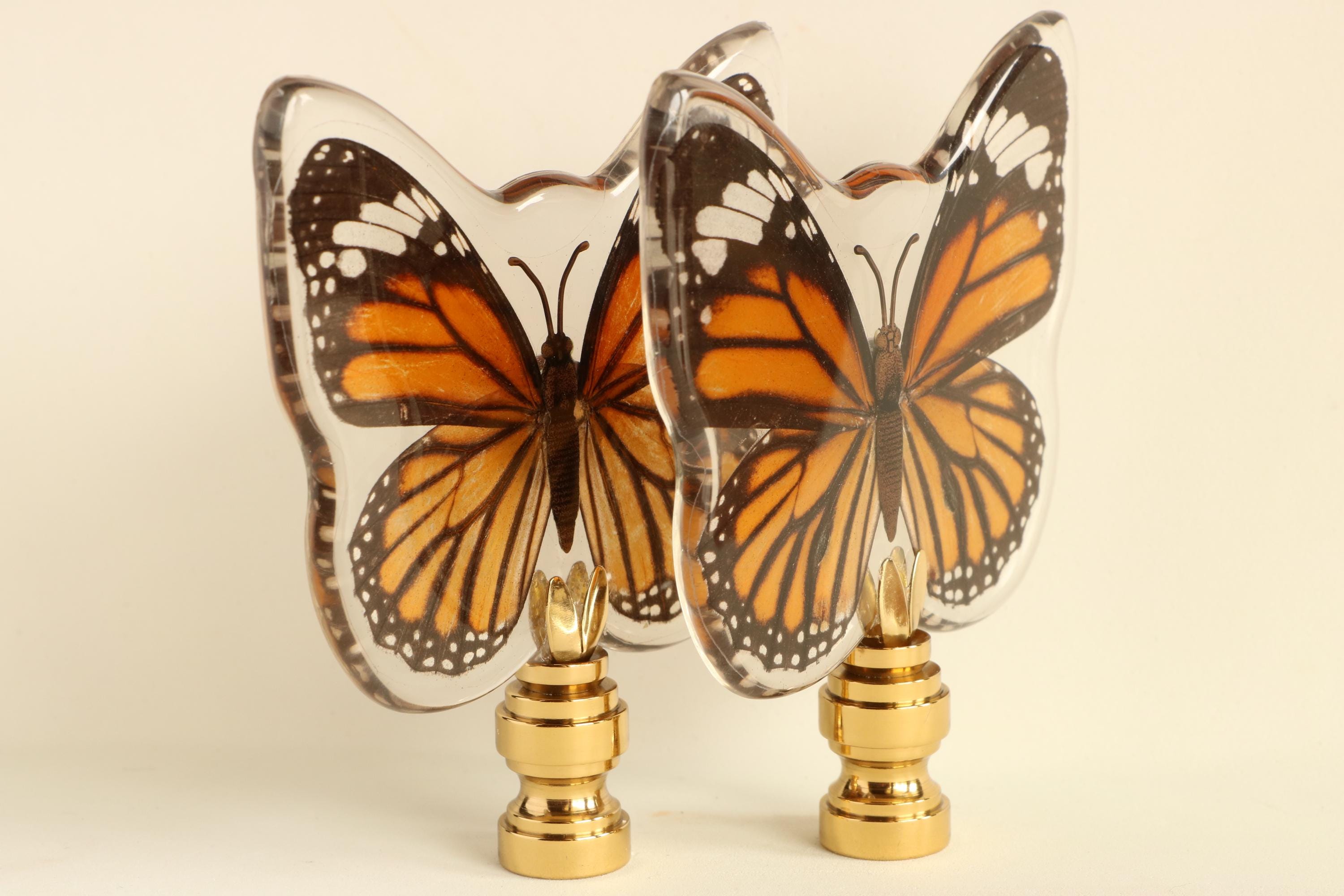 Asian Tiger Butterfly Specimen Lamp Finials - Natural Butterflies in ...