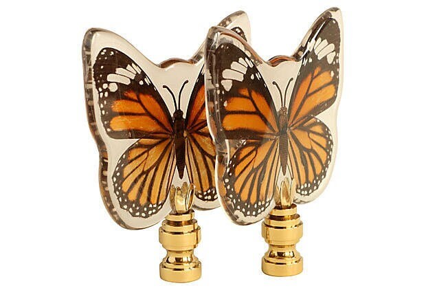 Asian Tiger Butterfly Specimen Lamp Finials - Natural Butterflies in ...