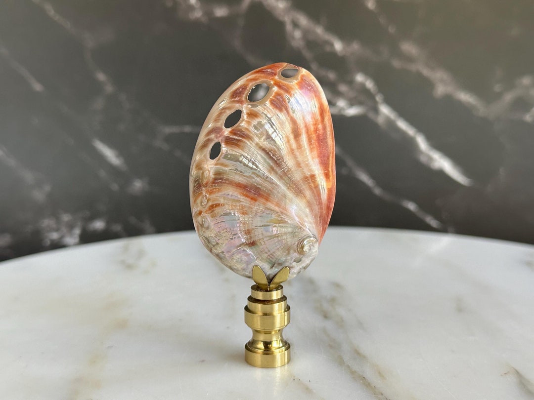 Abalone Shell Lamp Finial in Teal or Red - Natural Sea Shell Specimen ...