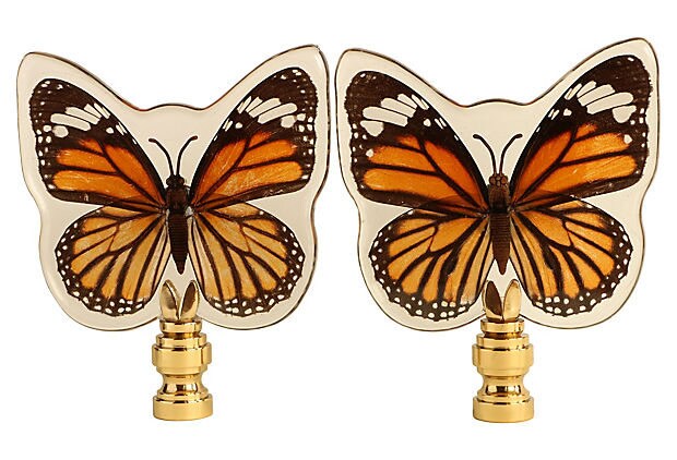 Asian Tiger Butterfly Specimen Lamp Finials - Natural Butterflies in ...