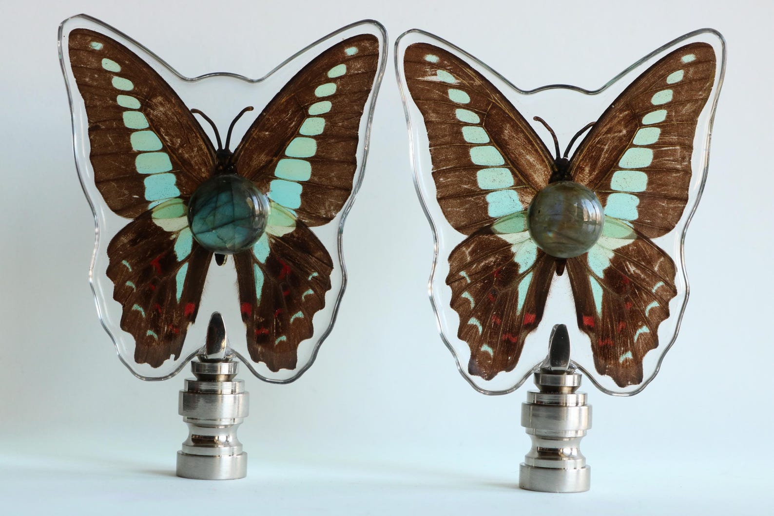 Bluebottle Butterfly Specimen Lamp Finials - Natural Butterflies in ...