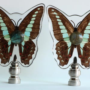 Bluebottle Butterfly Specimen Lamp Finials - Natural Butterflies in ...