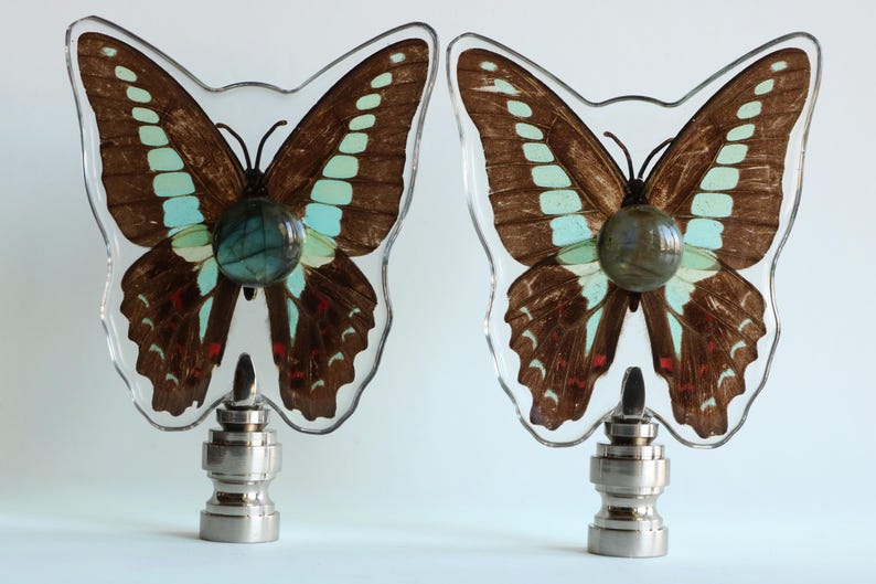 Bluebottle Butterfly Specimen Lamp Finials - Natural Butterflies in ...