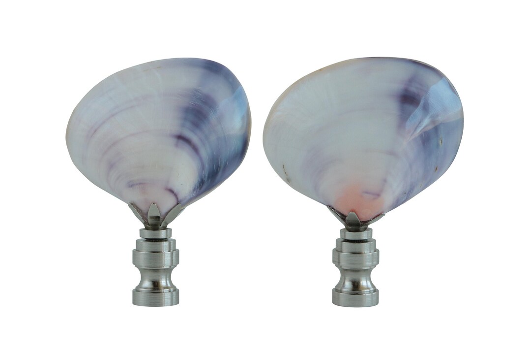 Purple Clam Shell Lamp Finials - Natural Polished Sea Shells - A Single ...