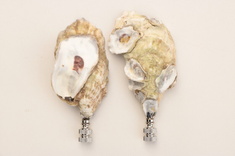 Seafarer's Oyster Sea Shell Lamp Finials in Silver - Etsy