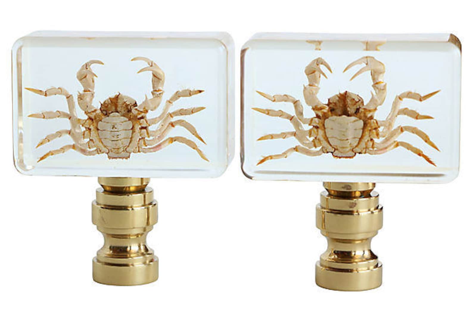 Crab Specimen Lamp Finials - Natural Sea Creatures in Clear Acrylic on ...