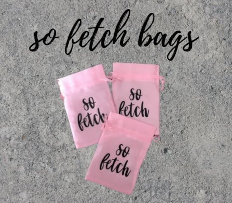 So Fetch Party Bags/ Birthday Favors/ Party Bags/pink Party Favors ...