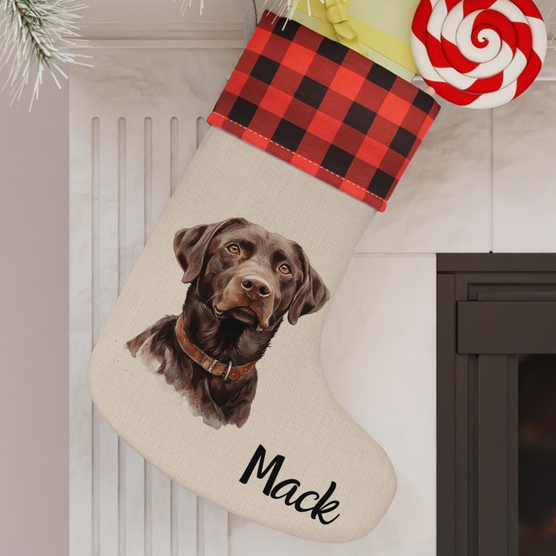 Pet Stocking Chocolate Lab - Etsy
