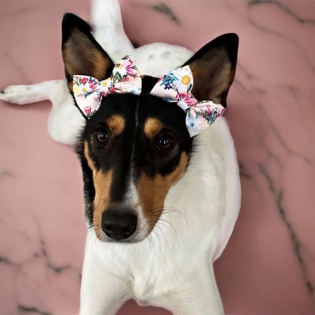 Dog Bow Headband, Dog Headband, Headband With Dog Bows, Doggie ...
