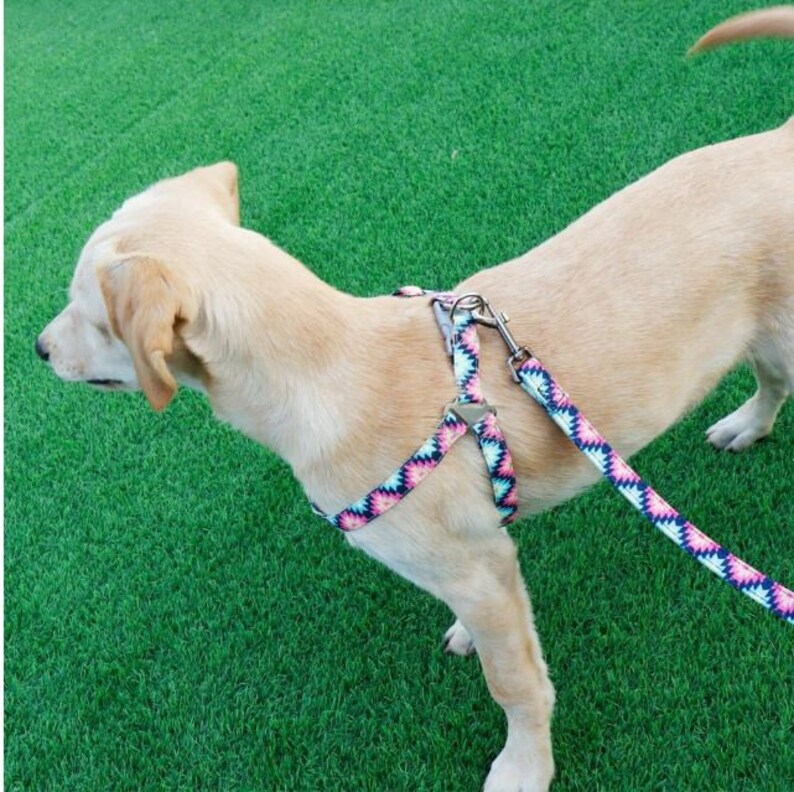 Step-in Dog Harness & Matching Leash Set Dog Harness Step-in - Etsy