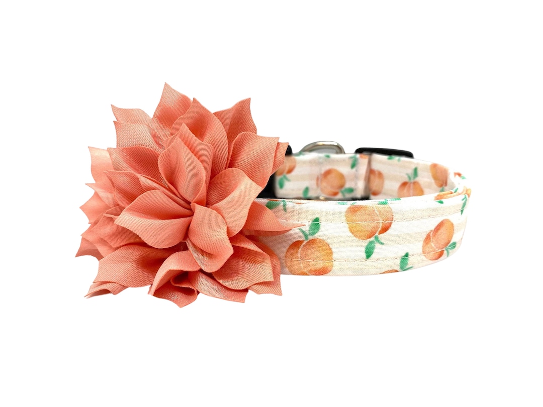 Peach Dog Collar, Summer Dog Collar, Pastel Dog Collar, Peach Dog ...