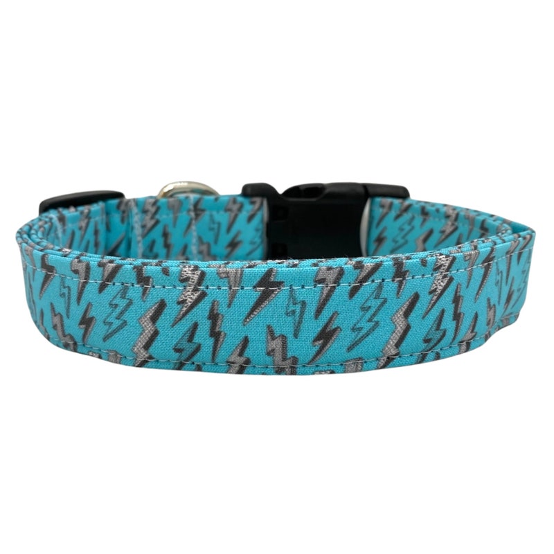Turquoise Dog Collar - Etsy