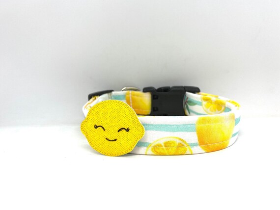 Dog Collar Lemon Dog Collar With Smiling Lemon Embellishment | Etsy