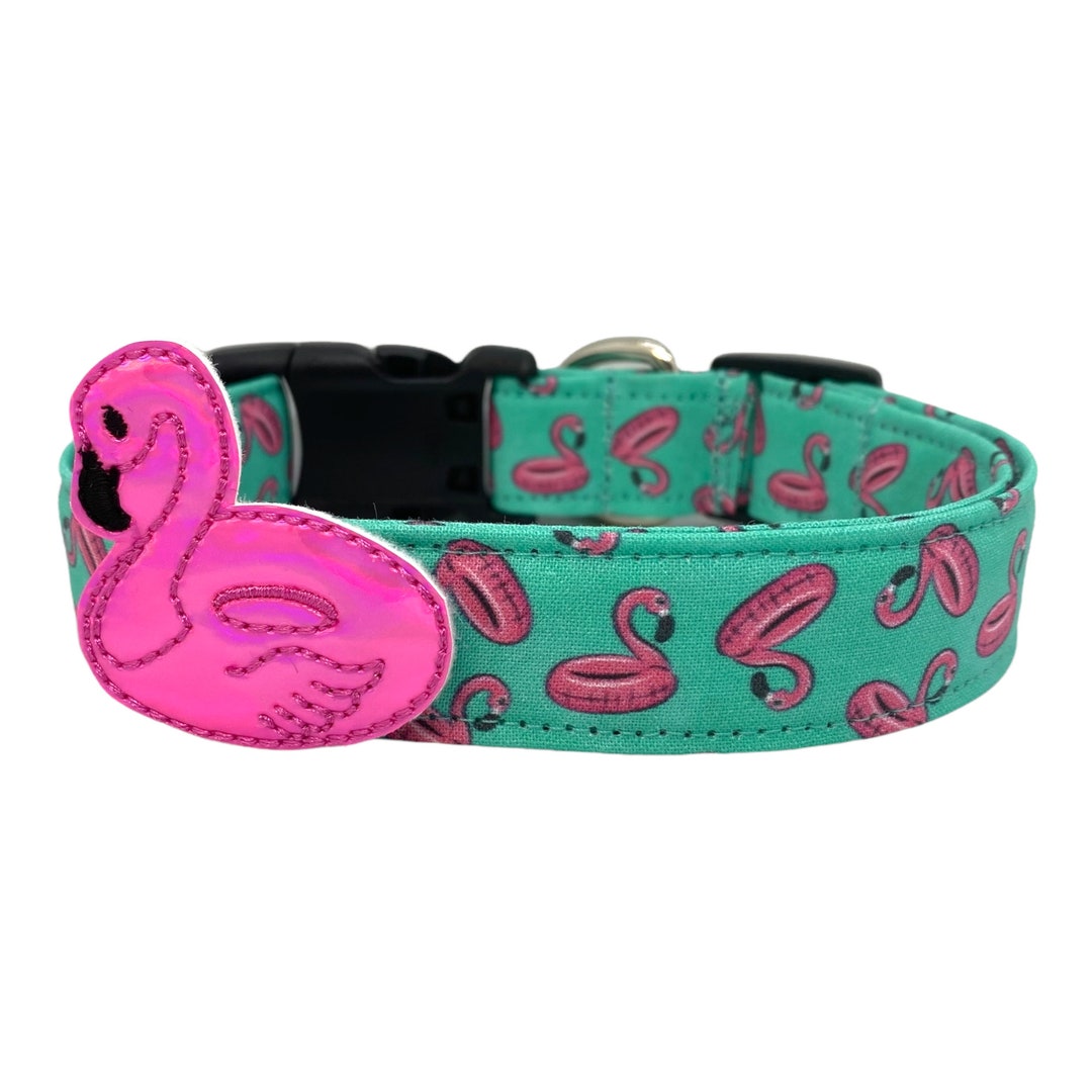 Dog Collar Flamingo Floatie Dog Collar Aqua Flamingo Dog - Etsy