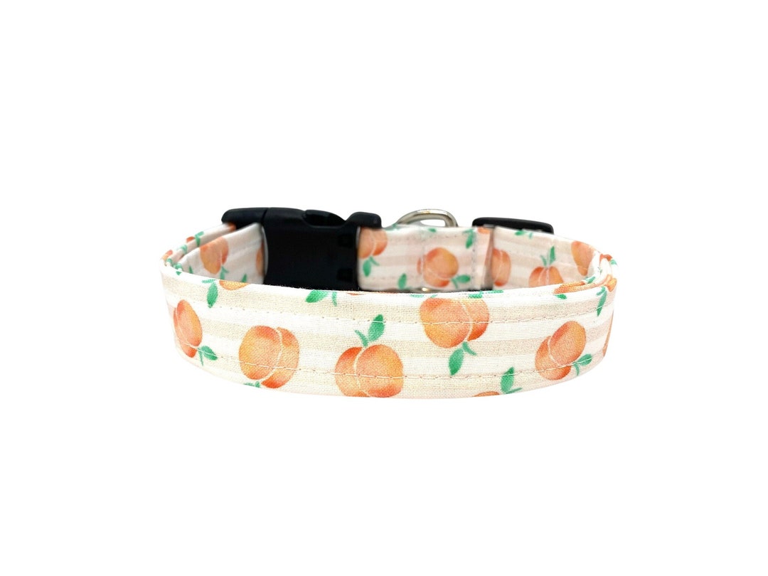 Dog Collar, Peach Dog Collar, Summer Dog Collar, Pastel Peach Fruit Dog ...