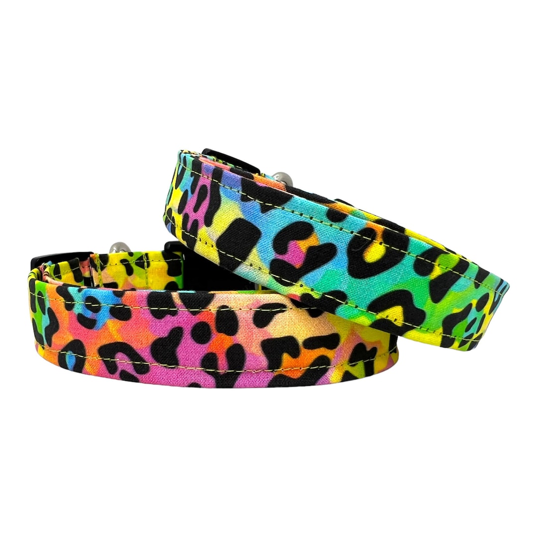 Leopard Dog Collar, Neon Leopard Dog Collar, Dog Collar, Everyday Dog ...