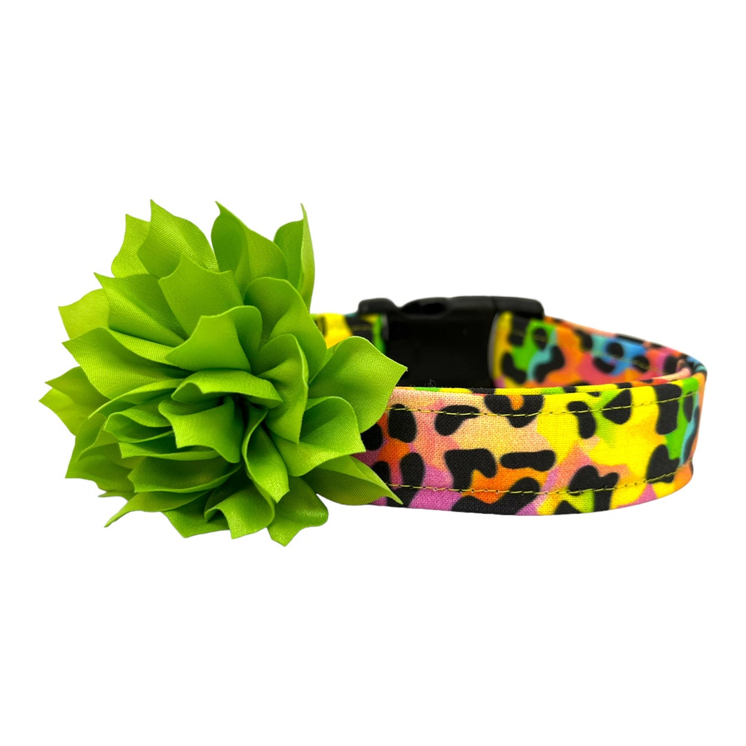 Leopard Dog Collar, Neon Leopard Dog Collar With Dog Collar Flower ...