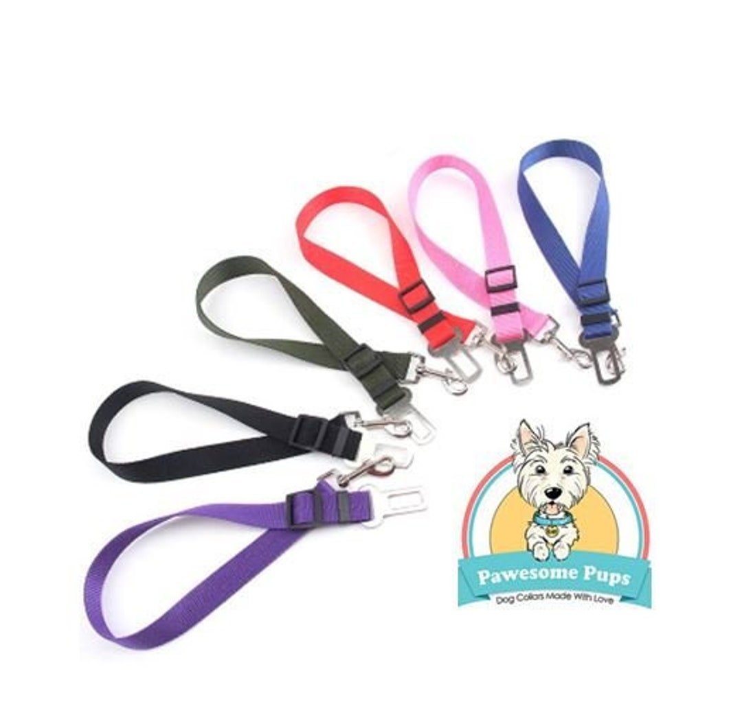 How Do You Tether A Dog