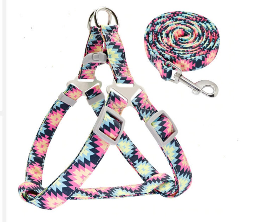 Step-in Dog Harness & Matching Leash Set Dog Harness Step-in - Etsy