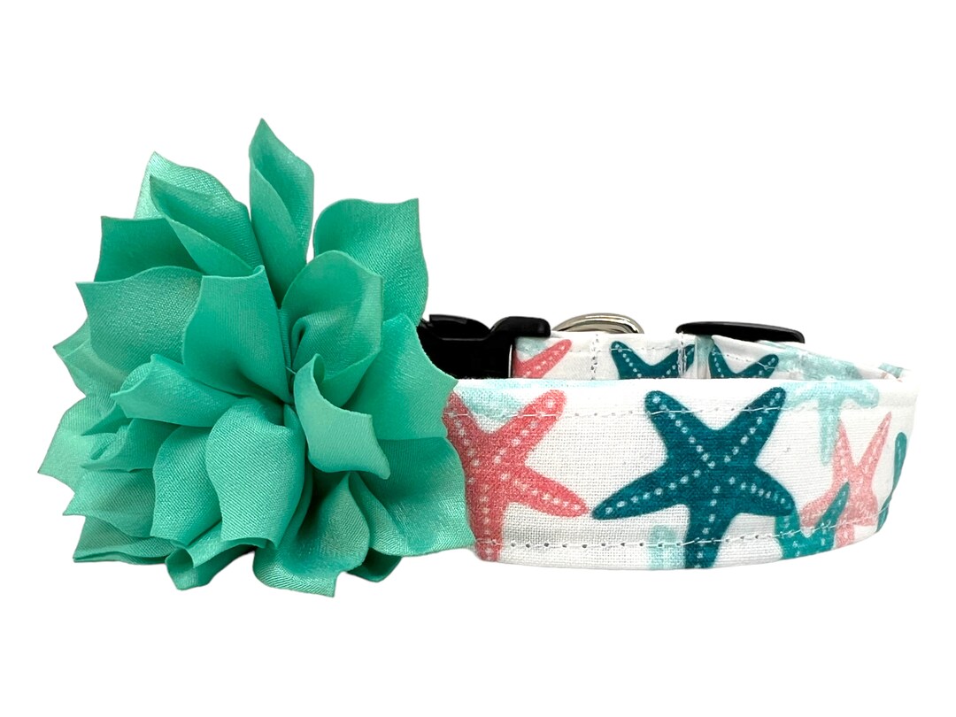 Starfish Dog Collar With Dog Collar Flower, Dog Starfish, Summer Dog ...