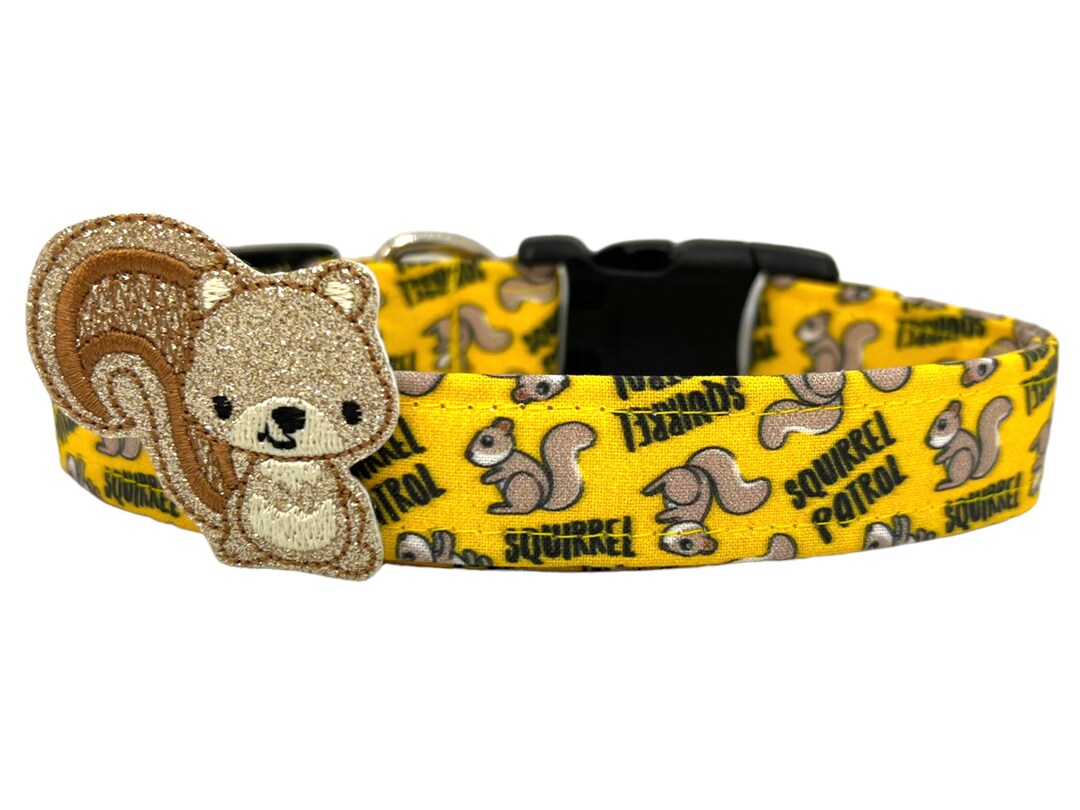 Squirrel Dog Collar, Squirrel Patrol Dog Collar, Dog Collar With ...