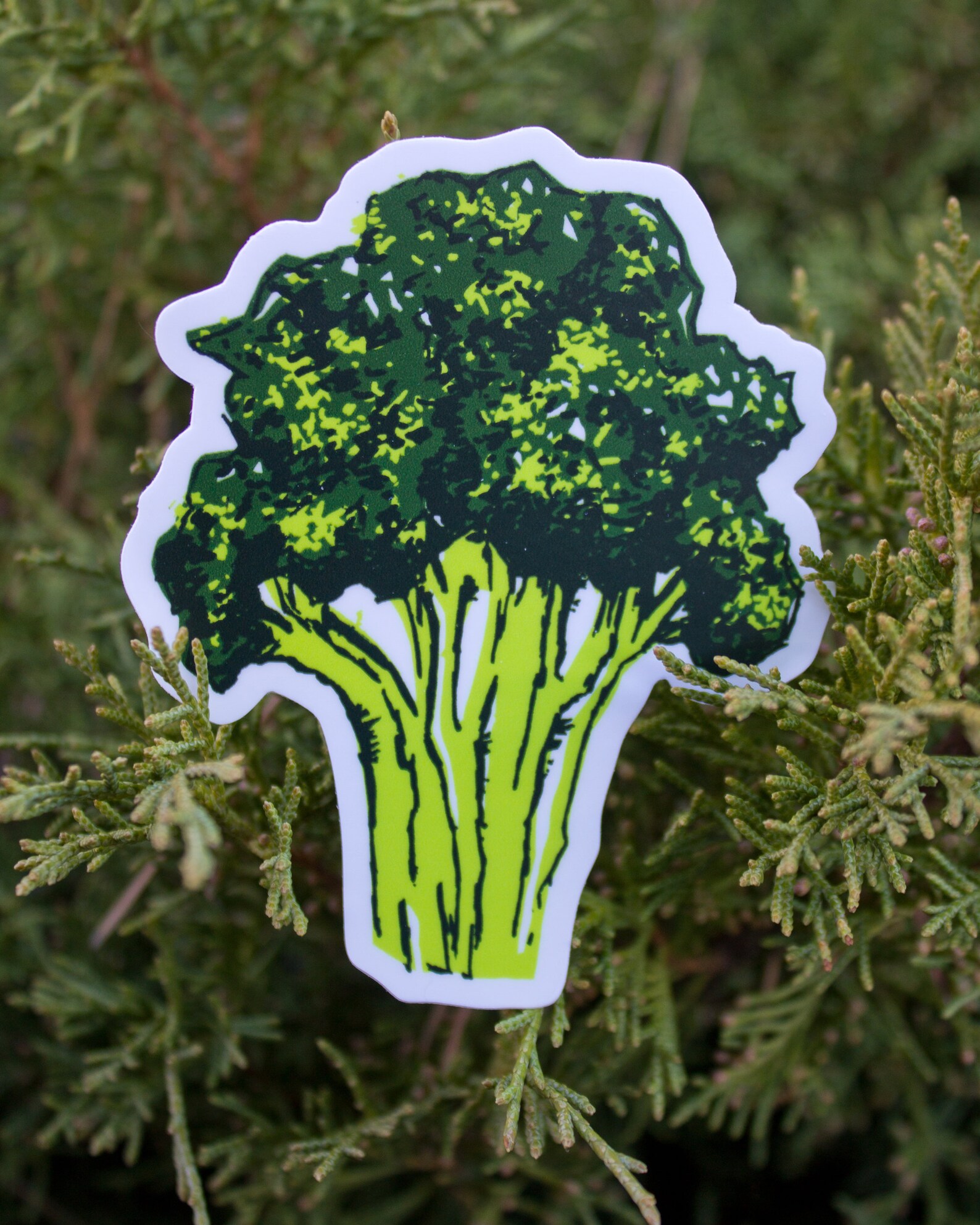 Broccoli Sticker Broccoli Water Bottle Sticker Broccoli - Etsy