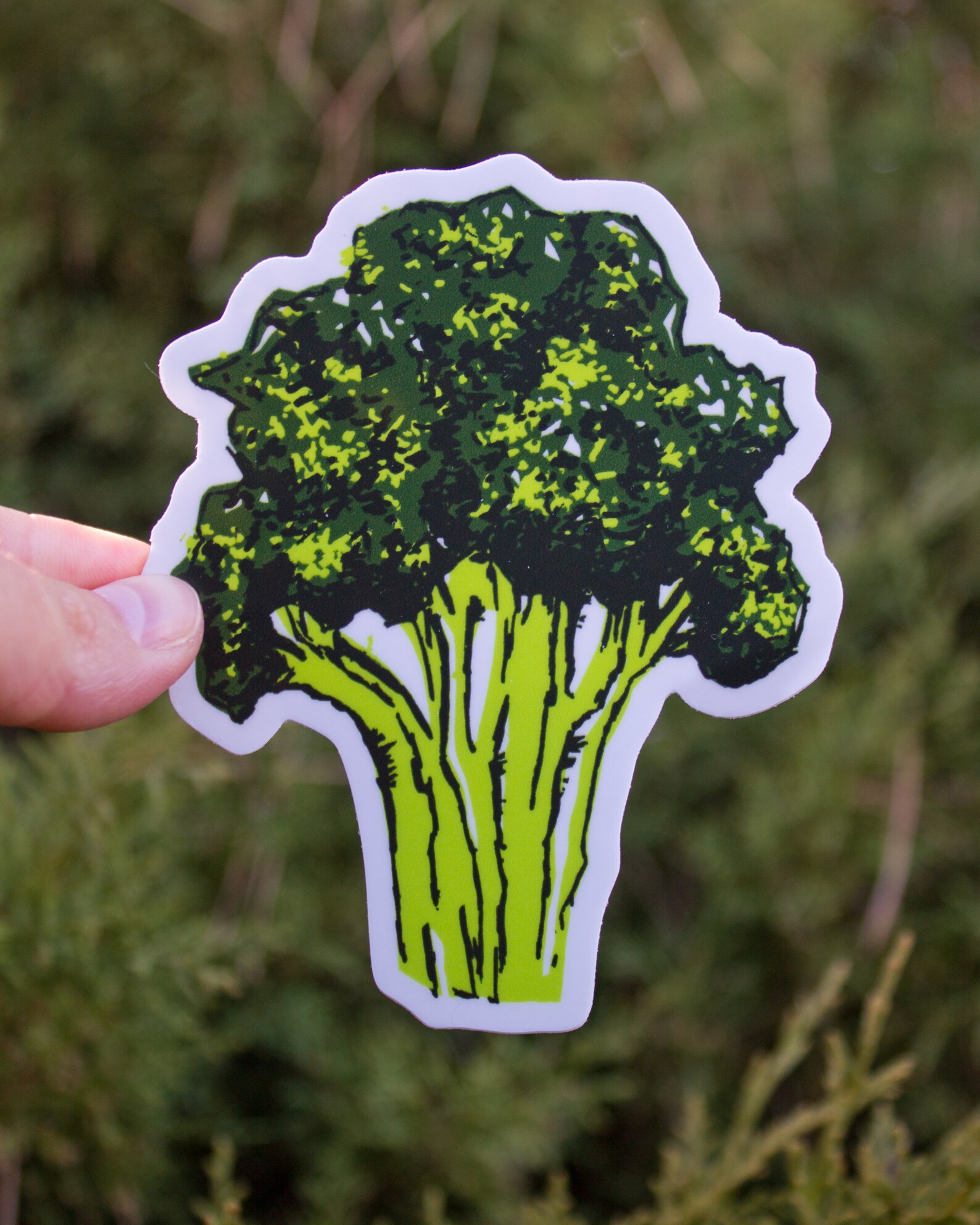 Broccoli Sticker Broccoli Water Bottle Sticker Broccoli - Etsy