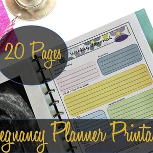 Pregnancy Planner Printables, Pregnancy Inserts, Baby Planning ...