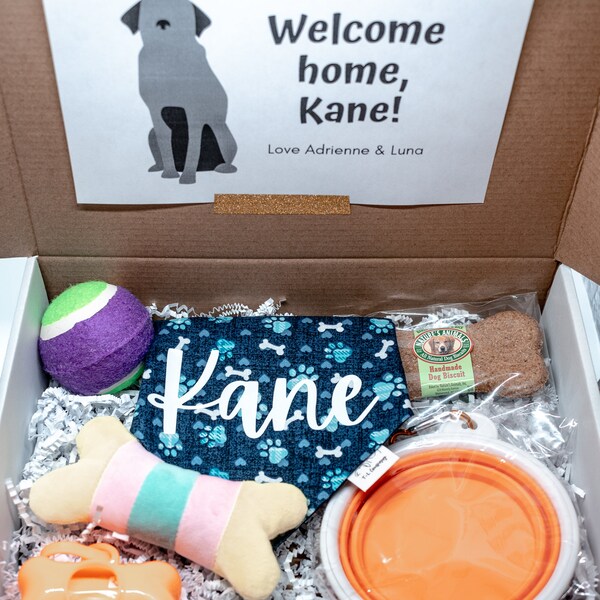 Dog Gift Box - Etsy