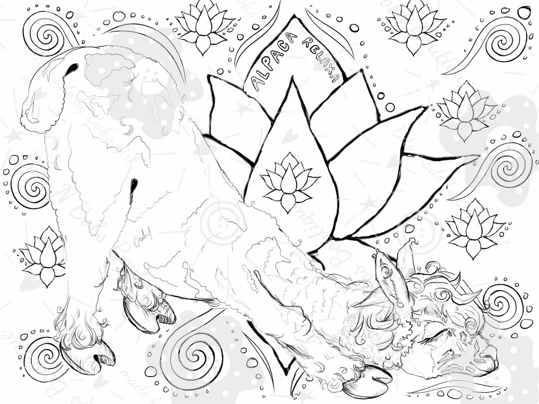 Groovy Alpaca Coloring Page 4 Pack, Llama Art, Coloring Pages for ...