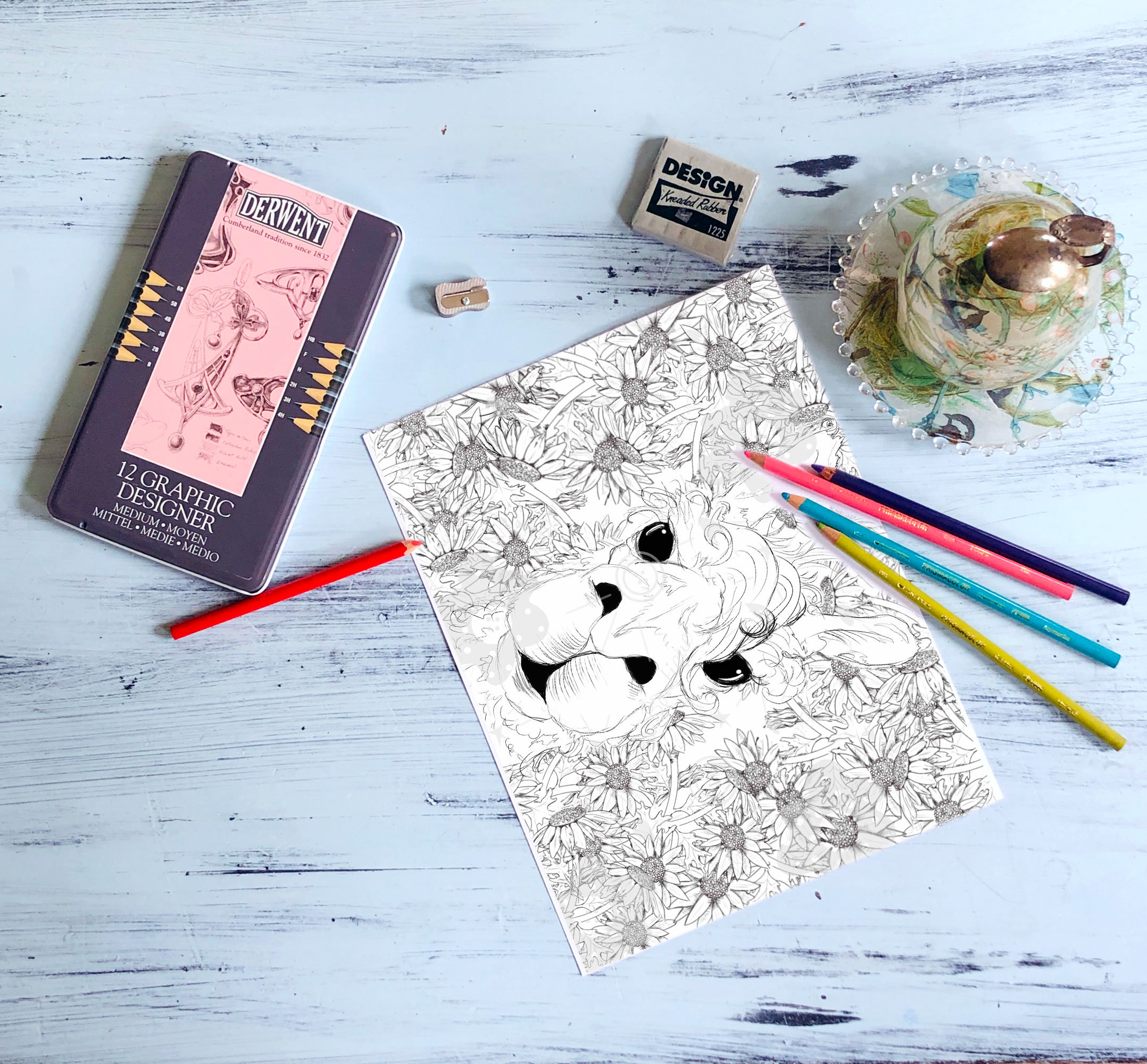 Daisy Daze Alpaca Coloring Page, Llama Art, Coloring Pages for Adults ...