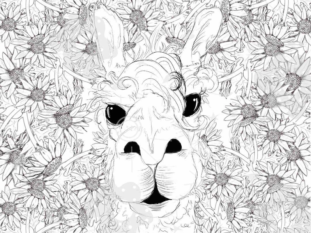 Daisy Daze Alpaca Coloring Page, Llama Art, Coloring Pages for Adults ...
