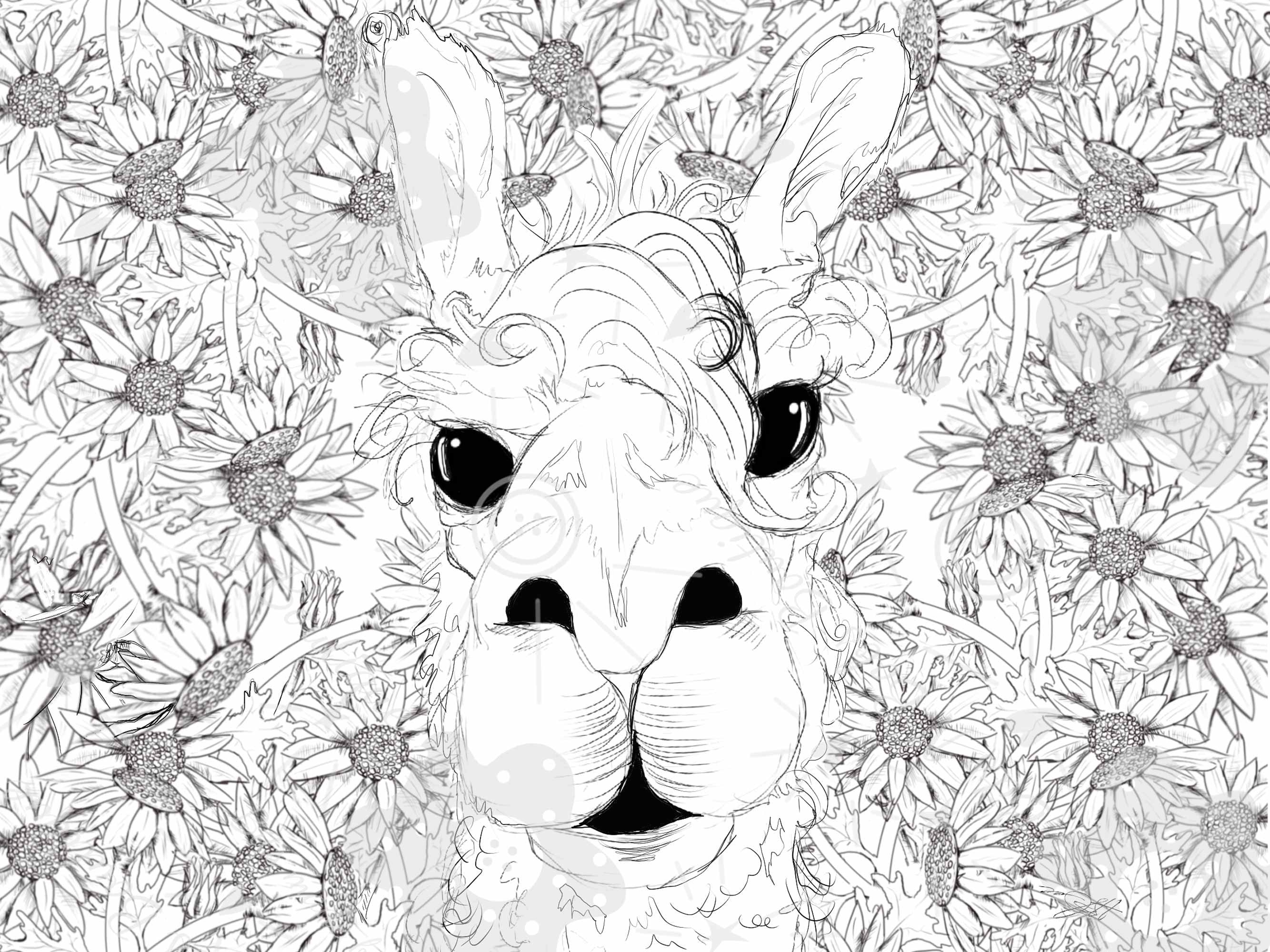 Daisy Daze Alpaca Coloring Page, Llama Art, Coloring Pages for Adults ...