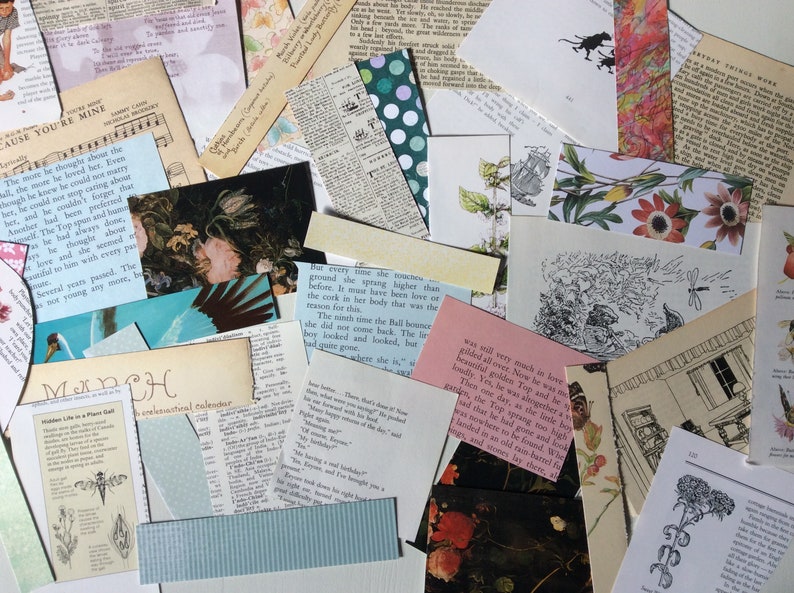 50x Random Scrap/off Cuts Paper Pack Junk Journal Snail - Etsy