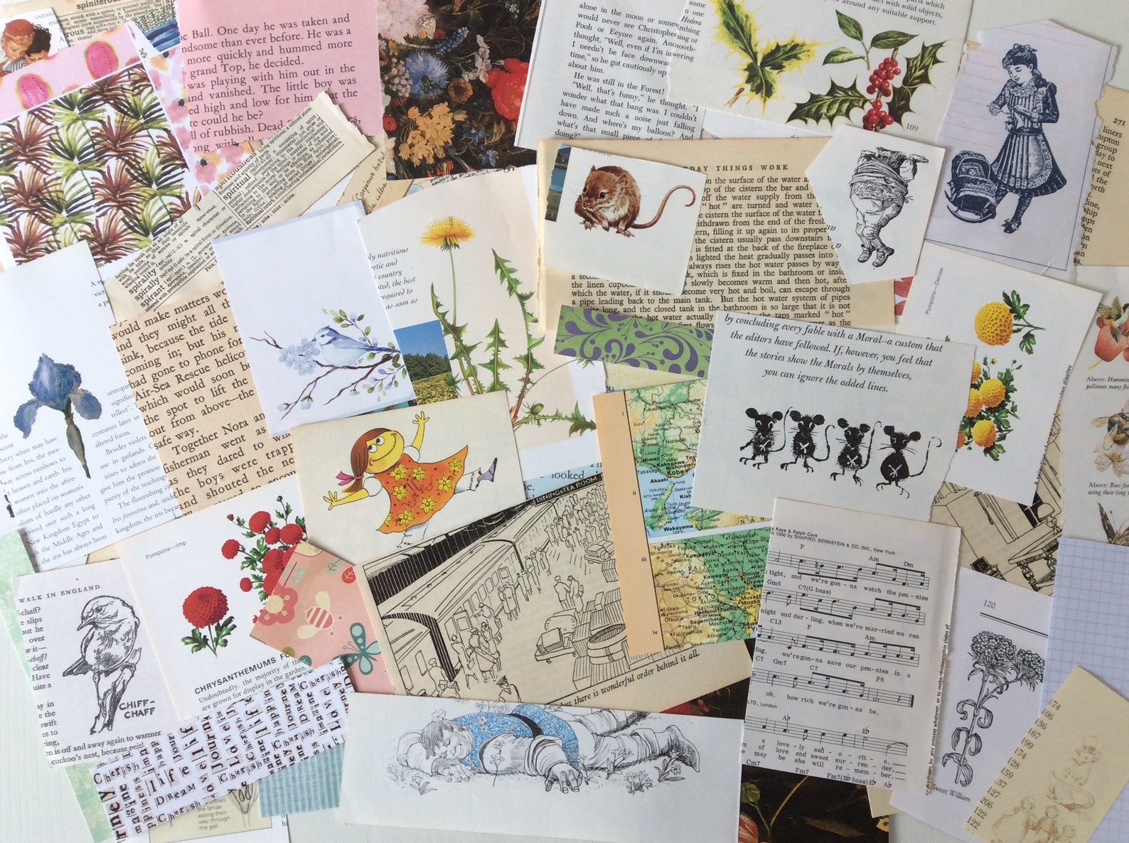 50x Random Scrap/off Cuts Paper Pack Junk Journal Snail - Etsy