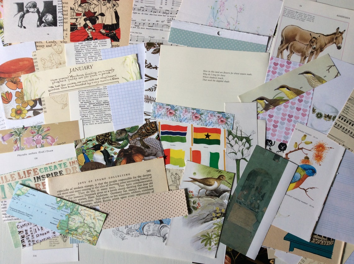 50x Random Scrap/off Cuts Paper Pack Junk Journal Snail - Etsy