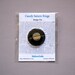 Saturn Badge Pin Limited Edition-eco Friendly Novelty Nasa Gift for Him ...