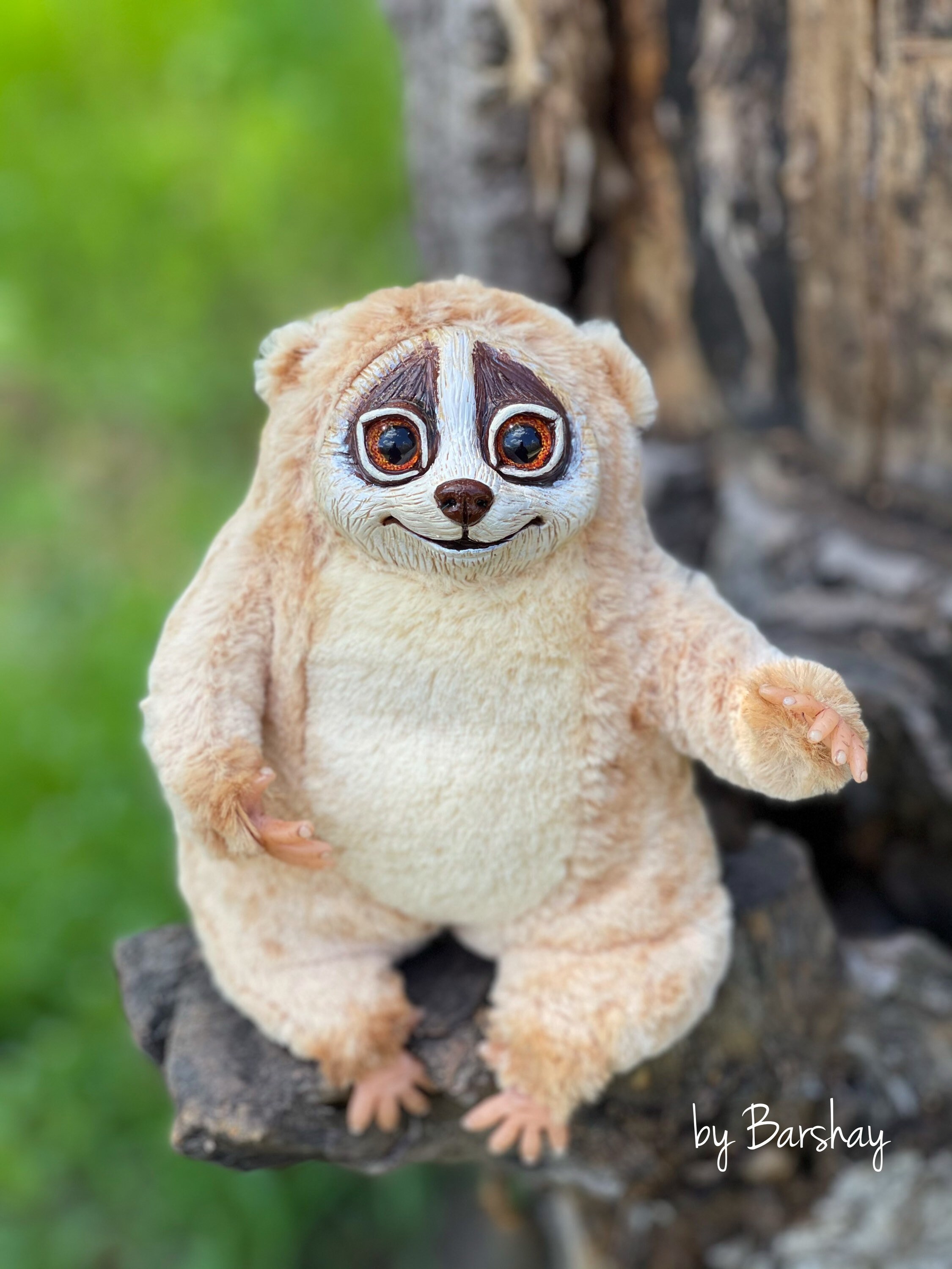 Loris Monkey