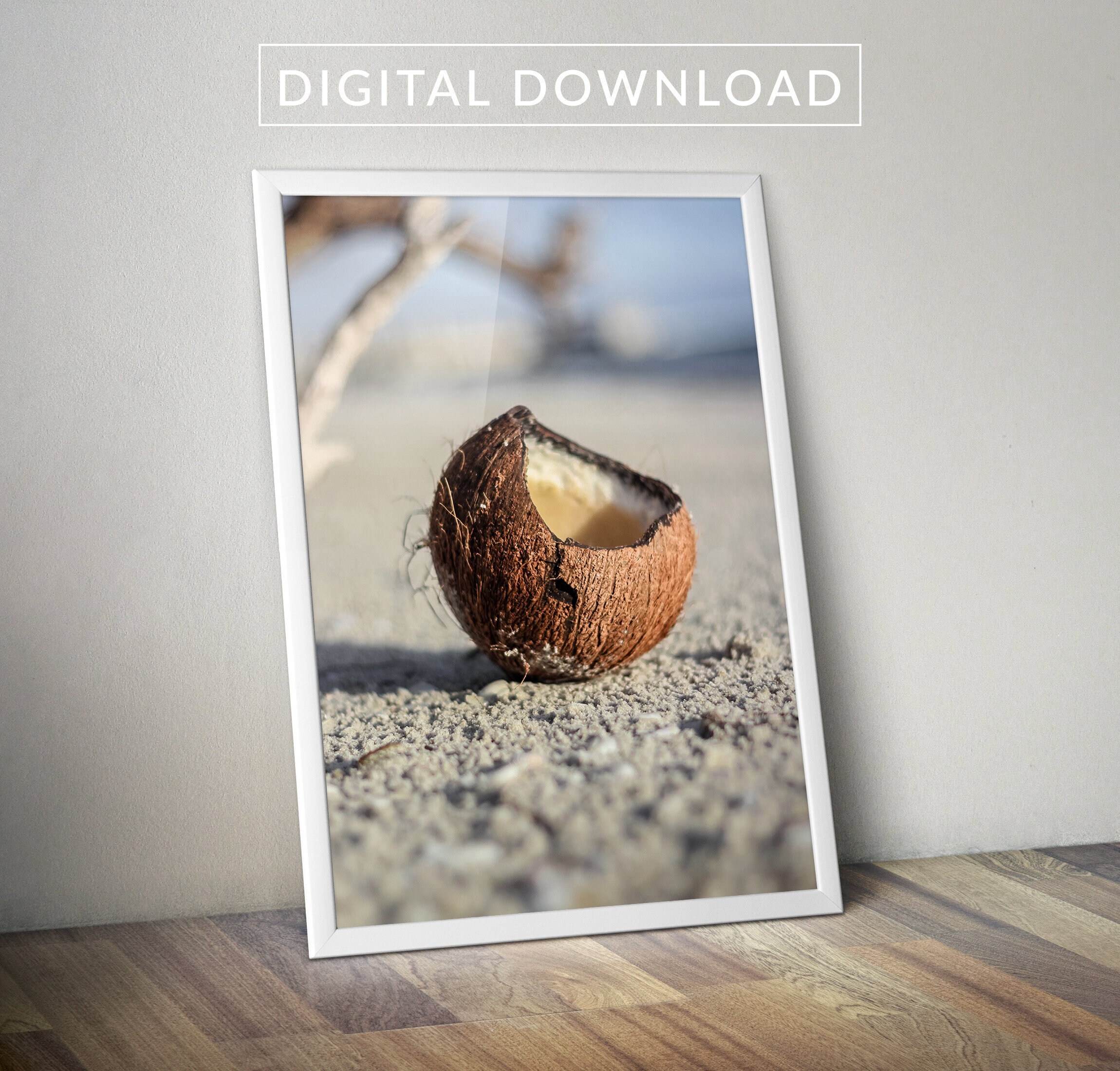 Beach Coconut Printable Wall Art. Digital Print. Sanibel, Florida ...