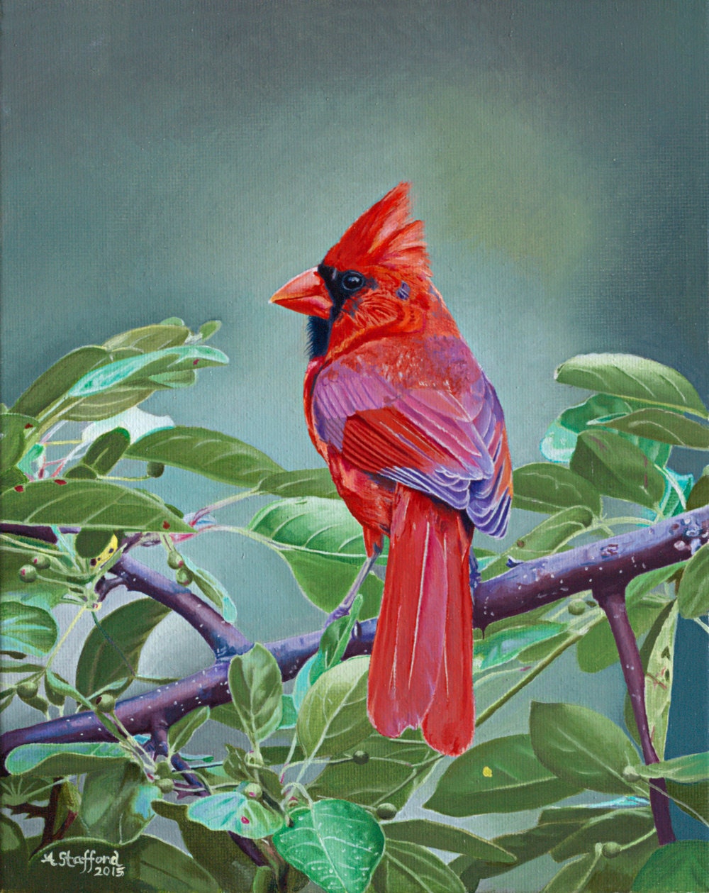 Giclée Print "red Bird" - Etsy