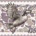 Migratory Waterfowl Pintail Duck Stamp Png, Hunting Png, Duck Hunting ...