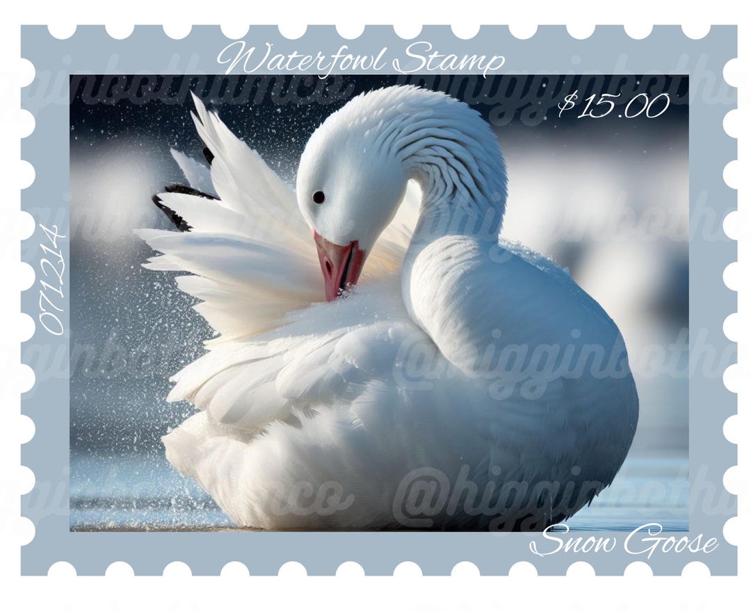 Migratory Waterfowl Goose Stamp Png, Hunting Png, Goose Hunting ...
