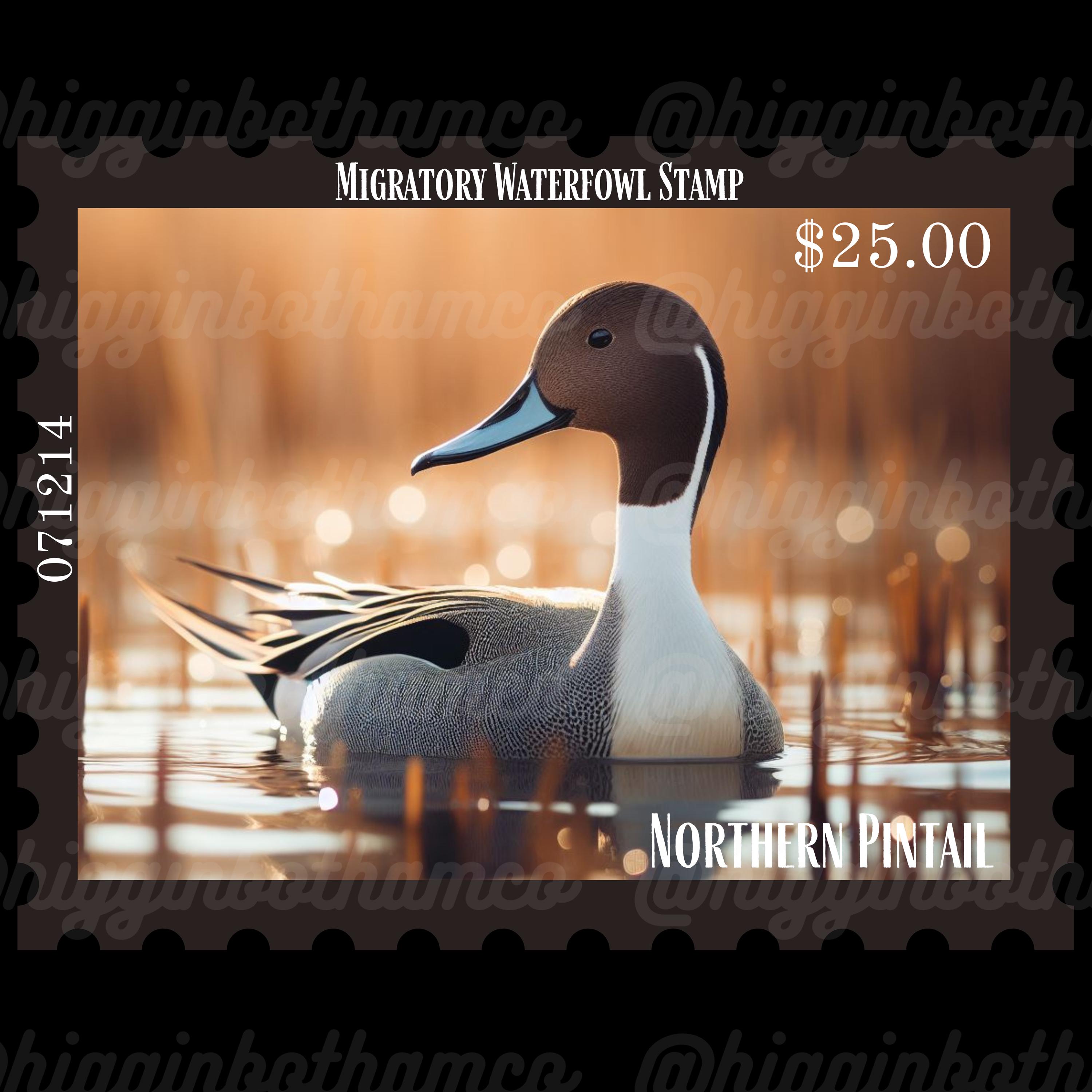 Migratory Waterfowl Pintail Duck Stamp Png, Hunting Png, Duck Hunting ...