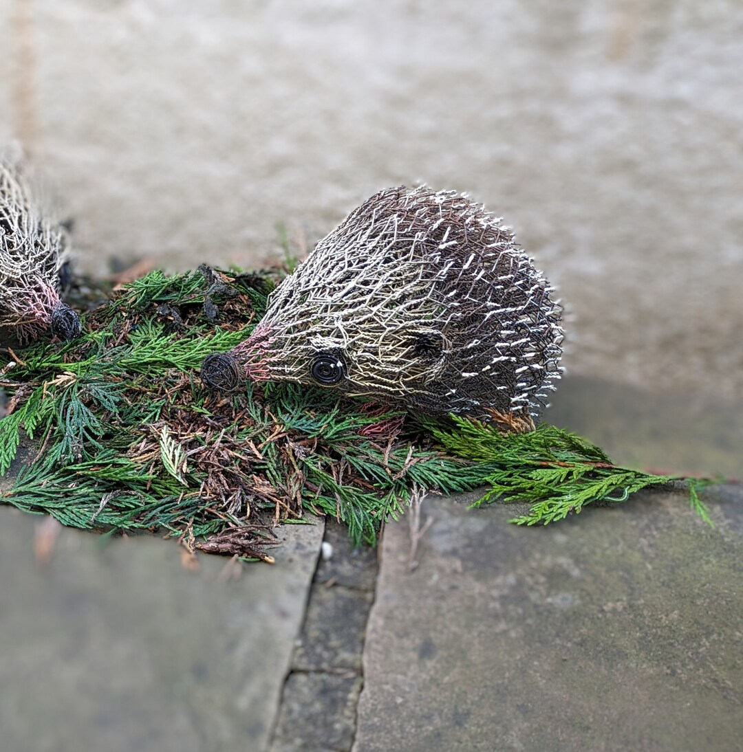 Hedgehog. Wire Art Hedgehog - Etsy UK