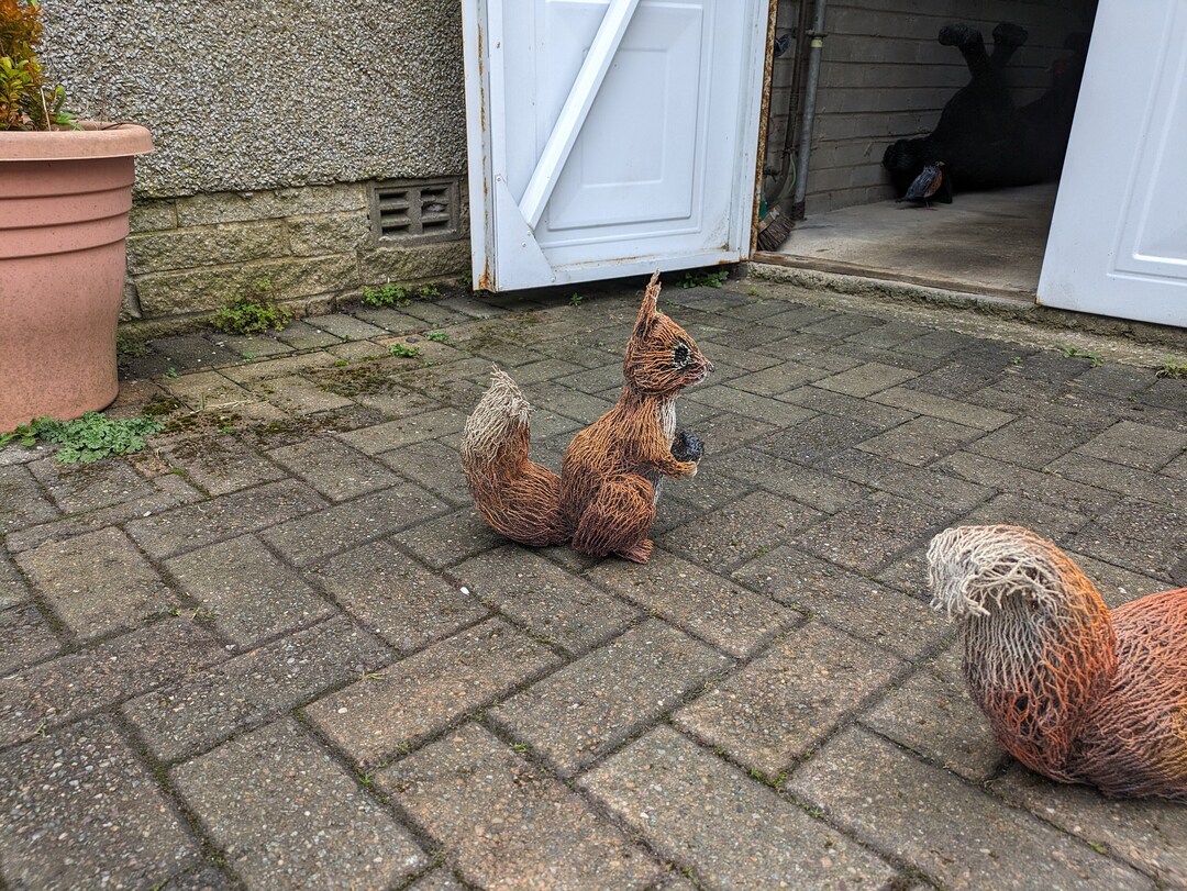 Wire Art Red Squirrel Garden Art - Etsy