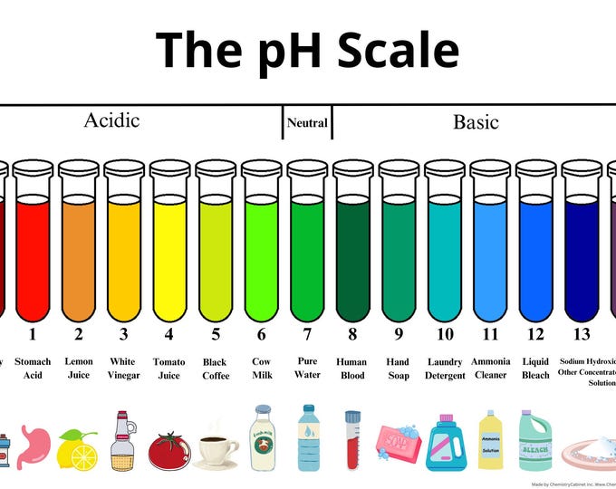 Colorful Ph Scale Chart Print | Chemistry Classroom | Acid Alkaline Ph ...